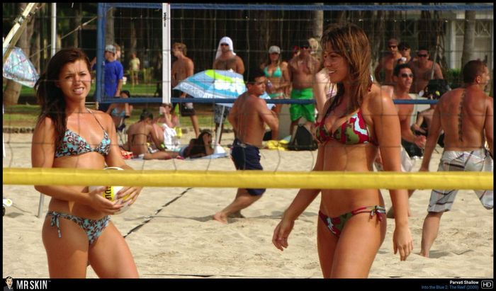Top Five Hottest Contestants From Survivor
