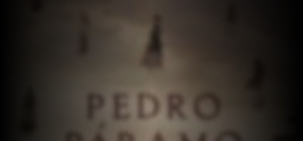 Sexiest Pedro Páramo 2024 Nude Scenes Top Pics And Videos Mr Skin